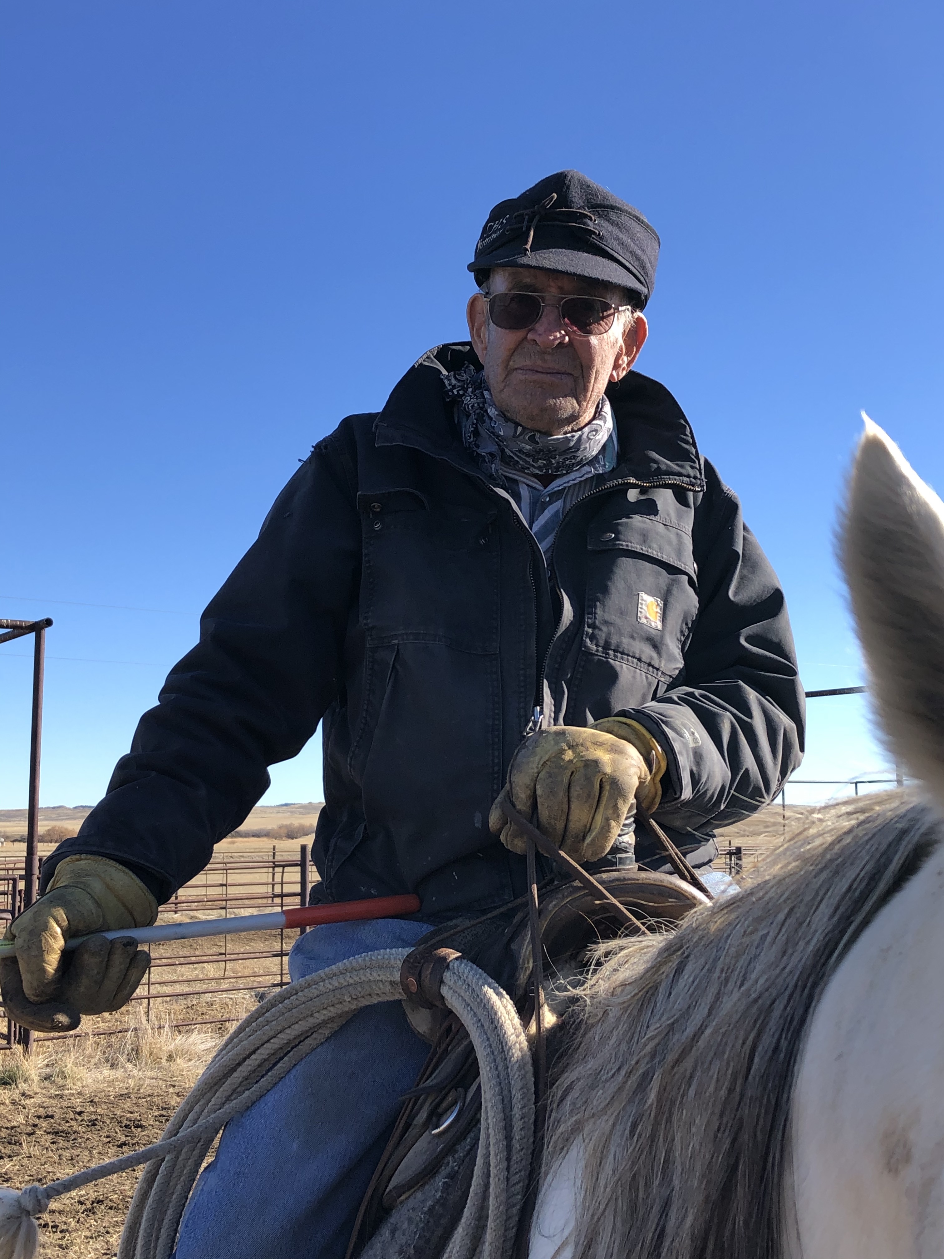 Weaning Calves – Sandy Snider Stahl